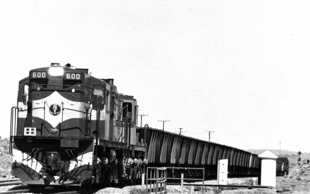 600 Class locomotive 600 with a load of ore wagons, c. 1970s. Photo by ...